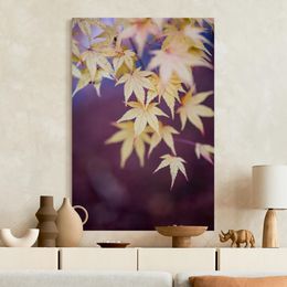 Bilderwelten Akustikbild Stadt violett Motiv Schallschutzbild - Herbstlicher Ahorn - Japan Wohnzimmer Schlafzimmer