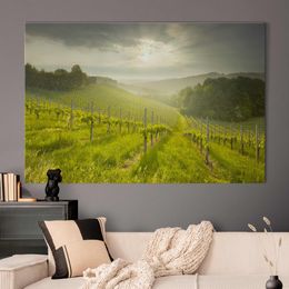 Akustikbild Sonnenstrahlen Weinberg