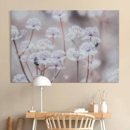 Akustikbild Federleichte Wildblumen