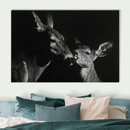 Bilderwelten Akustikbild Tiere schwarz modern Schallschutzbild - Rehe vor Schwarz - Wandbild Wohnzimmer Schlafzimmer