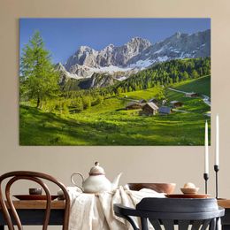Akustikbild Steiermark Almwiese