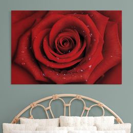Akustikbild Rote Rose mit Wassertropfen