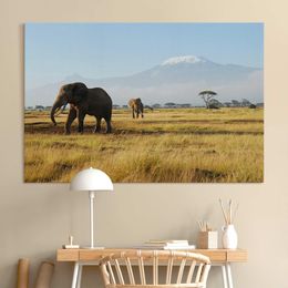 Akustikbild Elefanten vor dem Kilimanjaro in Kenya