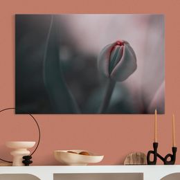 Akustikbild Sinnliche Tulpe