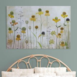 Akustikbild Zarte Helenium Bl&uuml;ten