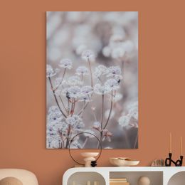 Akustikbild Federleichte Wildblumen