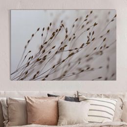 Bilderwelten Akustikbild braun Tropisch Schallschutzbild - Zarte Gr&auml;ser im Windschatten - Gr&auml;ser Wohnzimmer Schlafzimmer