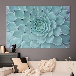 Akustikbild Kaktus Agave