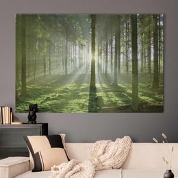 Bilderwelten Akustikbild Wald gr&uuml;n Motiv Schallschutzbild - Spring Fairytale - B&auml;ume Wohnzimmer Schlafzimmer