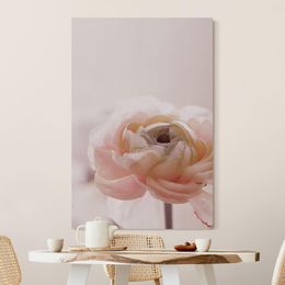 Bilderwelten Akustikbild Rosa Bl&uuml;te im Fokus