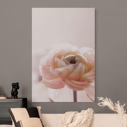 Akustikbild Rosa Bl&uuml;te im Fokus
