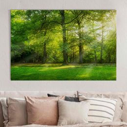 Bilderwelten Akustikbild Wald gr&uuml;n Motiv Schallschutzbild - Spaziergang im Wald - B&auml;ume Wohnzimmer Schlafzimmer