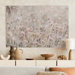 Bilderwelten Akustikbild Blumen beige Landhaus Schallschutzbild - Strahlende Blumenwiese - Blumenwiese Wohnzimmer Schlafzimmer