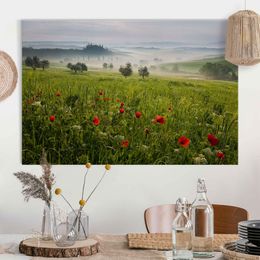 Bilderwelten Akustikbild Toskana Fr&uuml;hling