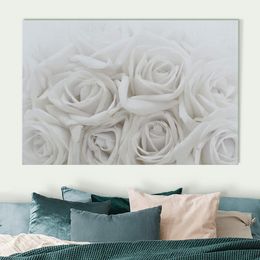Bilderwelten Akustikbild beige Motiv Schallschutzbild - Wei&szlig;e Rosen - Rose Wohnzimmer Schlafzimmer