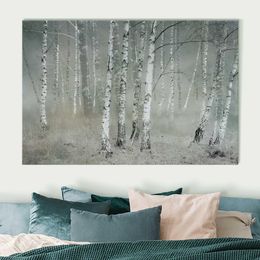 Bilderwelten Akustikbild Wald grau modern Schallschutzbild - Ruhender Birkenwald - B&auml;ume Wohnzimmer Schlafzimmer