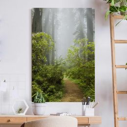 Bilderwelten Akustikbild Wald gr&uuml;n Motiv Schallschutzbild - Nebliger Waldpfad - B&auml;ume Wohnzimmer Schlafzimmer