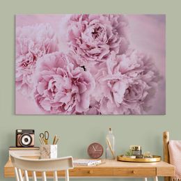 Akustikbild Rosa Pfingstrosen