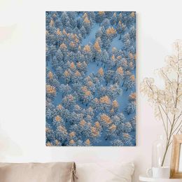 Bilderwelten Akustikbild Wald blau modern Schallschutzbild - Winterlicher Sonnenuntergang im Wald - B&auml;ume Wohnzimmer Schlafzimmer