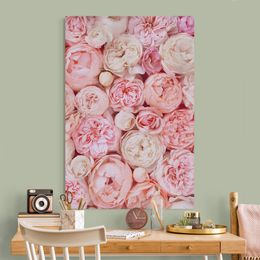 Akustikbild Rosen Ros&eacute; Koralle Shabby