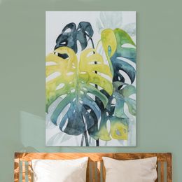 Akustikbild Tropisches Blattwerk - Monstera