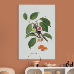 Akustikbild Vintage Pflanze - Sushi