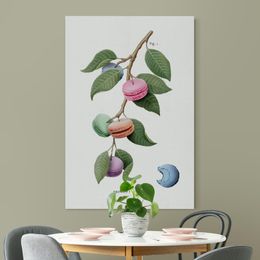 Akustikbild Vintage Pflanze - Macaron