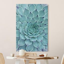 Bilderwelten Akustikbild t&uuml;rkis Tropisch Schallschutzbild - Kaktus Agave - Pflanzen Wohnzimmer Schlafzimmer