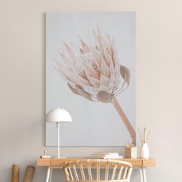 Bilderwelten Akustikbild Blumen rosa Motiv Schallschutzbild - Protea K&ouml;nigin der Bl&uuml;ten - Wandbild Wohnzimmer Schlafzimmer