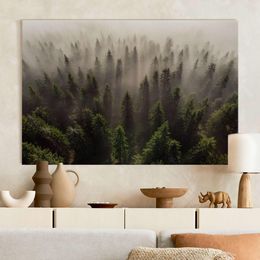 Bilderwelten Akustikbild Wald gr&uuml;n modern Schallschutzbild - Nebel im sonnigen Wald - B&auml;ume Wohnzimmer Schlafzimmer