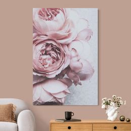 Akustikbild Rosa Pfingstrosenbl&uuml;ten Shabby Pastell