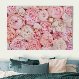 Bilderwelten Akustikbild Blumen pastell Landhaus Schallschutzbild - Rosen Ros&eacute; Koralle Shabby - Rose Wohnzimmer Schlafzimmer