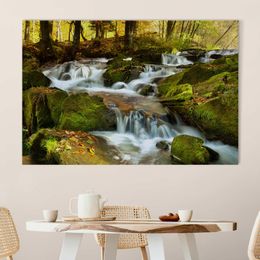 Bilderwelten Akustikbild Wald gr&uuml;n Motiv Schallschutzbild - Wasserfall herbstlicher Wald - B&auml;ume Wohnzimmer Schlafzimmer