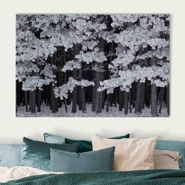 Bilderwelten Akustikbild Wald schwarz weiss Motiv Schallschutzbild - Wald mit Raureif in &Ouml;sterreich - B&auml;ume Wohnzimmer Schlafzimmer