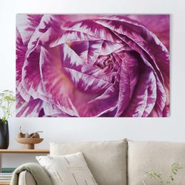 Bilderwelten Akustikbild Blumen violett modern Schallschutzbild - Ranunkel - Rose Wohnzimmer Schlafzimmer