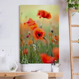 Bilderwelten Akustikbild Blumen gr&uuml;n Motiv Schallschutzbild - Roter Sommermohn - Mohn Wohnzimmer Schlafzimmer