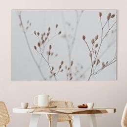 Bilderwelten Akustikbild beige Tropisch Schallschutzbild - Zarte Knospen am Wildblumenzweig - Gr&auml;ser Wohnzimmer Schlafzimmer