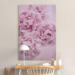 Bilderwelten Akustikbild Blumen rosa Landhaus Schallschutzbild - Rosa Pfingstrosen - Rose Wohnzimmer Schlafzimmer