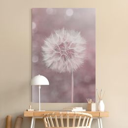 Akustikbild Pusteblume Bokeh rosa