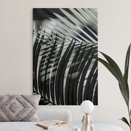 Bilderwelten Akustikbild Natur gr&uuml;n Motiv Schallschutzbild - Schattenspiel auf Palmenwedel - Palme Wohnzimmer Schlafzimmer