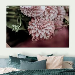 Bilderwelten Akustikbild Blumen rosa modern Schallschutzbild - Dahlie Close-Up - Wandbild Wohnzimmer Schlafzimmer