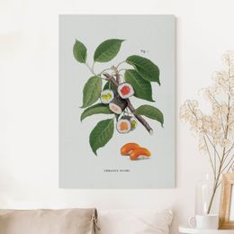 Bilderwelten Akustikbild Vintage Pflanze - Sushi