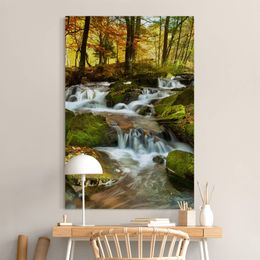 Bilderwelten Akustikbild Wasserfall herbstlicher Wald