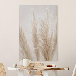Bilderwelten Akustikbild beige Tropisch Schallschutzbild - Pampasgras im Sonnenlicht - Gr&auml;ser Wohnzimmer Schlafzimmer