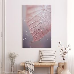 Akustikbild Rosa Blatt Close-Up