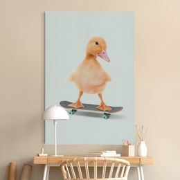 Akustikbild Skate Ente