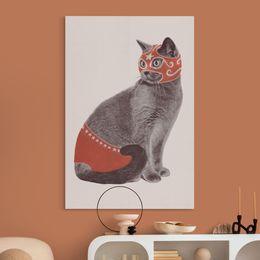 Akustikbild Wrestling Cat