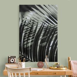 Bilderwelten Akustikbild Natur gr&uuml;n Motiv Schallschutzbild - Schattenspiel auf Palmenwedel - Palme Wohnzimmer Schlafzimmer