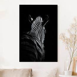 Bilderwelten Akustikbild Tiere schwarz weiss Motiv Schallschutzbild - Dunkle Zebra Silhouette - Zebra Wohnzimmer Schlafzimmer