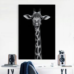 Bilderwelten Akustikbild Tiere schwarz weiss Motiv Schallschutzbild - Dunkles Giraffen Portrait - Giraffen Kinderzimmer Baby M&auml;dchen Jungen